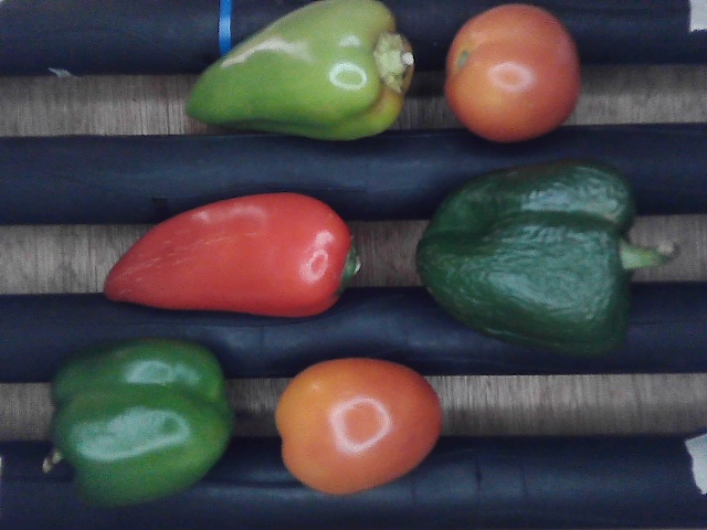 Bell Pepper 1 50 Object Detection Dataset By Bell Pepper