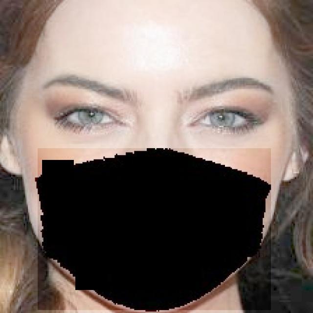 Mask Object Detection Dataset by LAGUARTRA