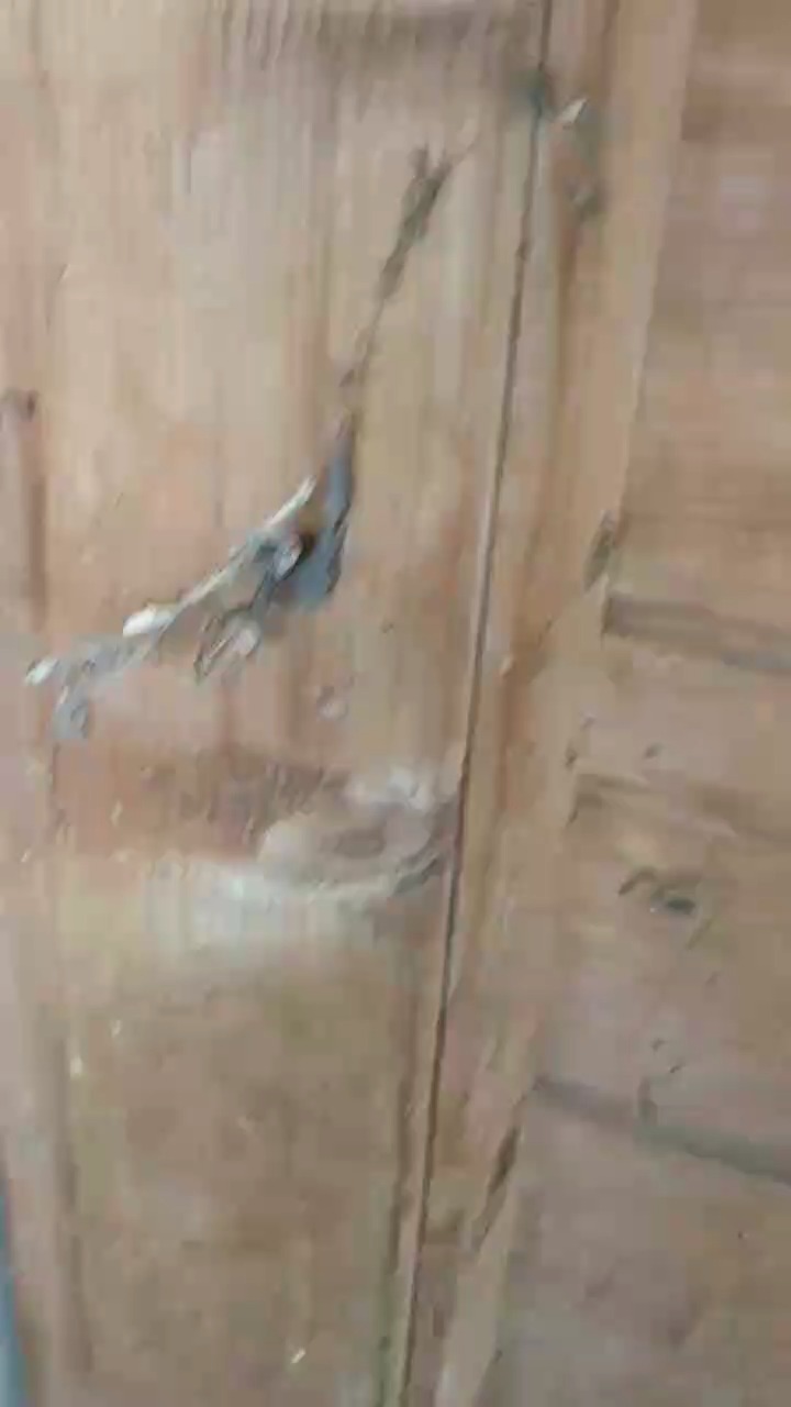 rust Dataset by oumaima