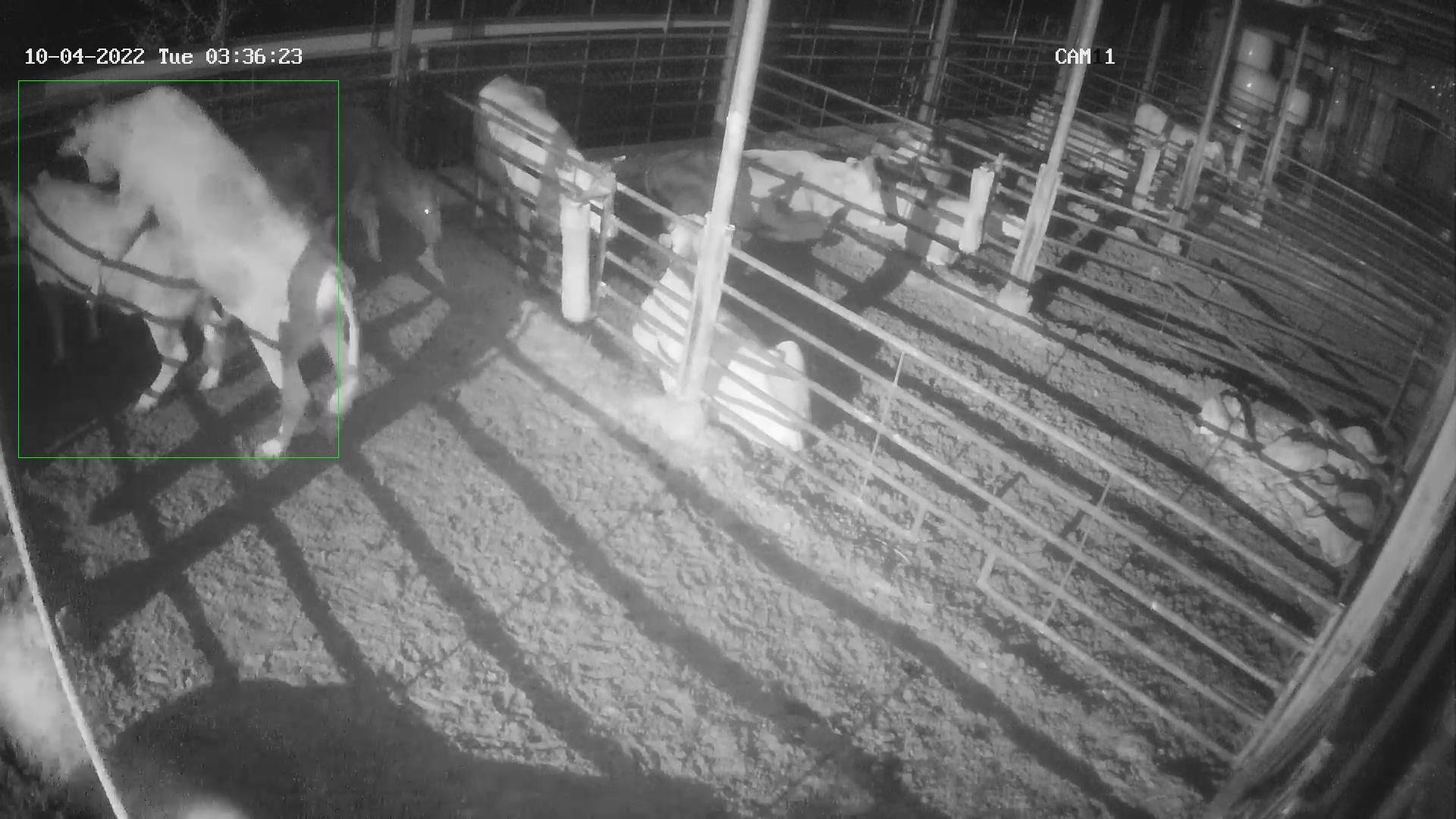 mounting_training Object Detection Dataset by estrus