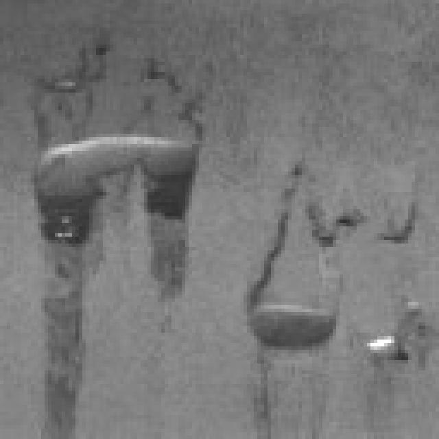 xsdd yolox Object Detection Dataset by yolov5