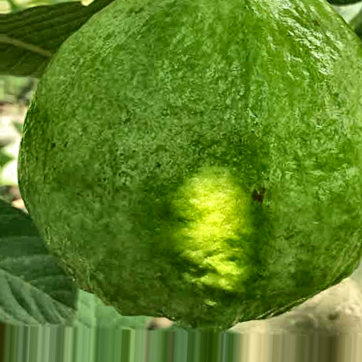 Train Guava Object Detection Dataset and Pre-Trained Model by Guava