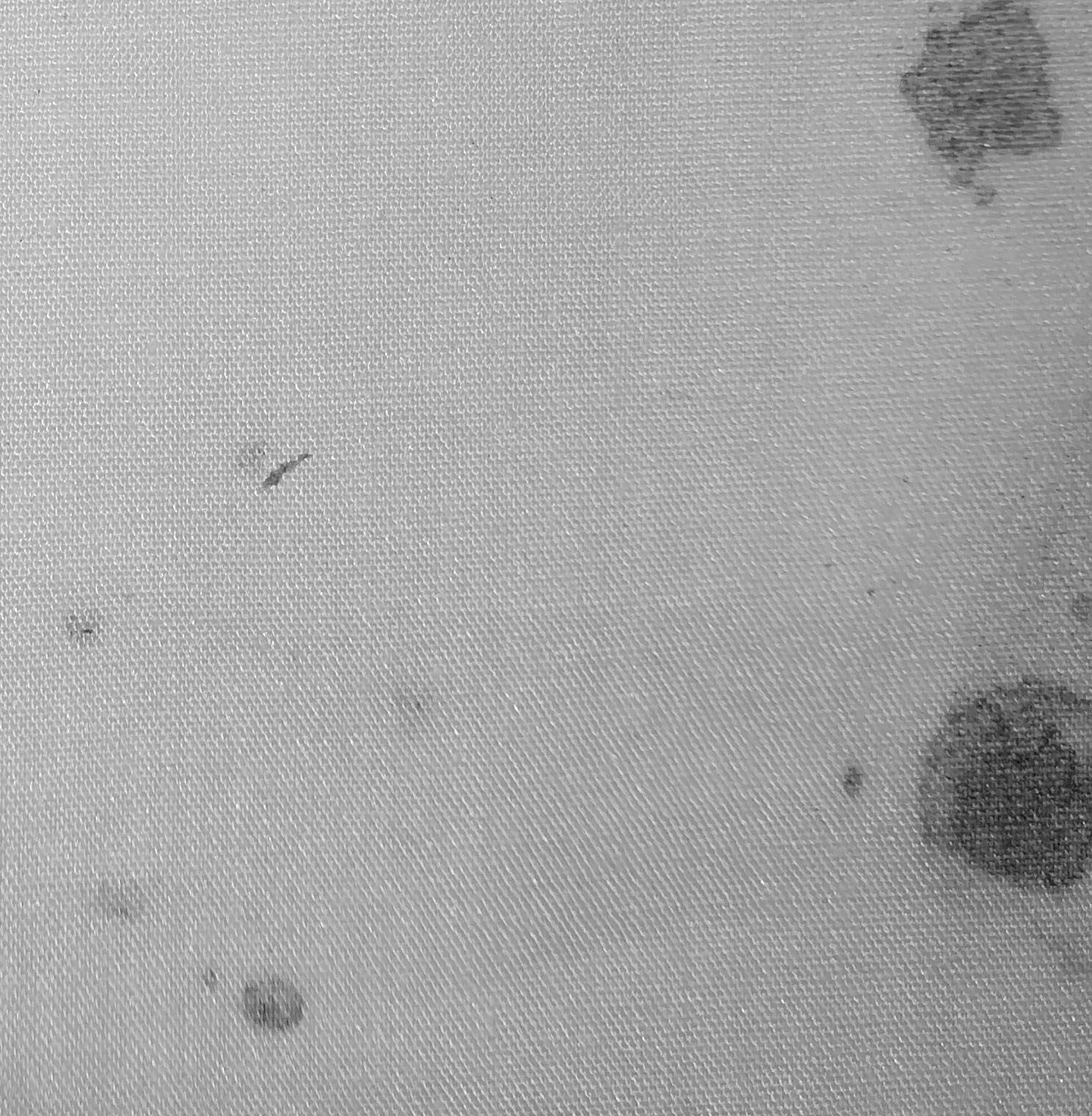 defect_pixel Object Detection Dataset and Pre-Trained Model by dataaug