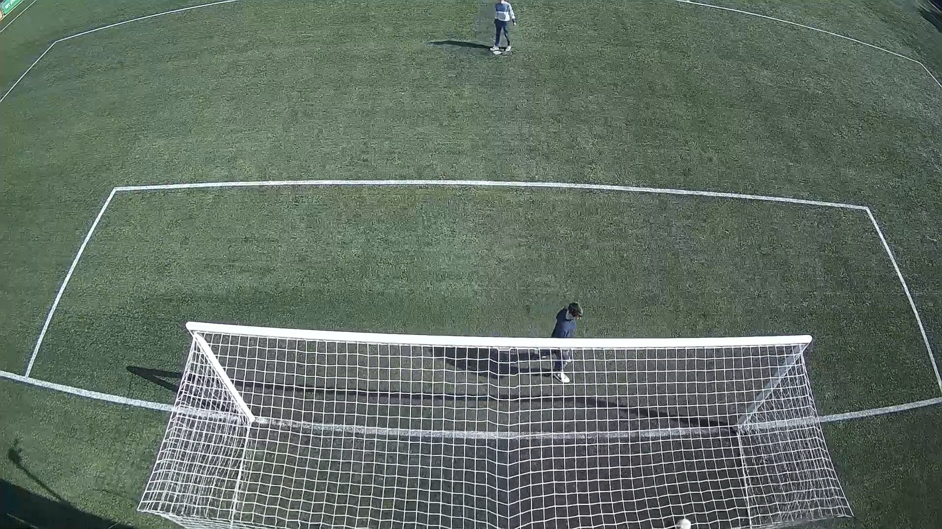 DLC bal detectie Object Detection Dataset and Pre-Trained Model by DLC Baldetectie 2