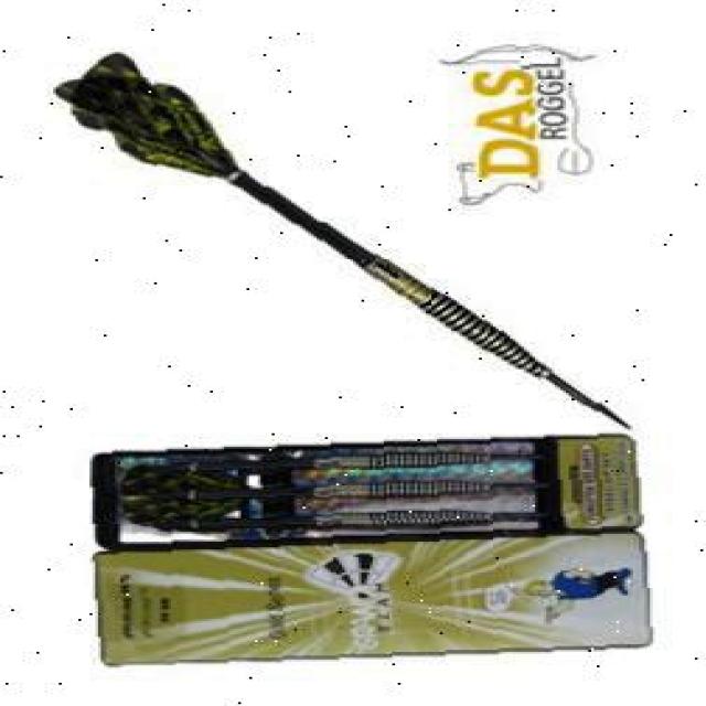 How to Use the darts Object Detection API