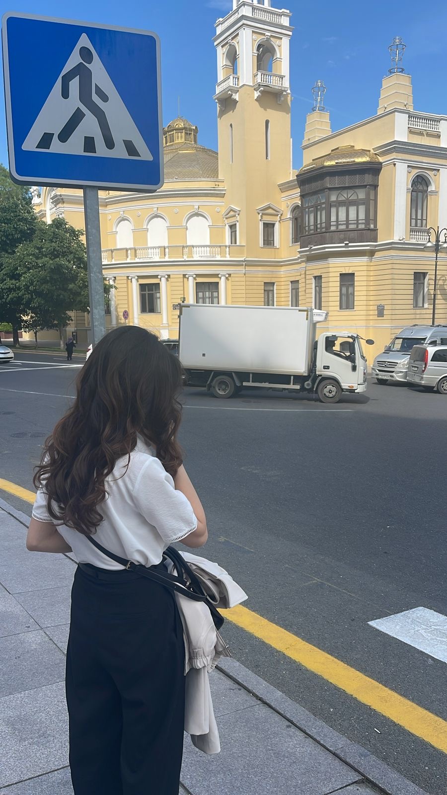 Narmin (narmin-n78sj) - Roboflow Universe