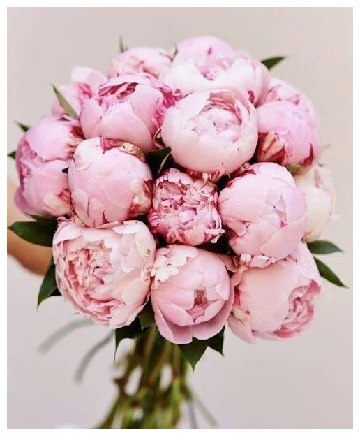 My First Project Classification Model by 12345