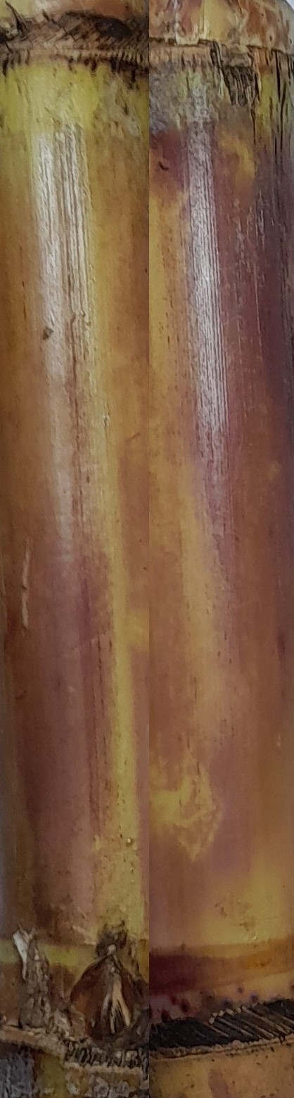 L2-DEMPET Classification Dataset by MEI12