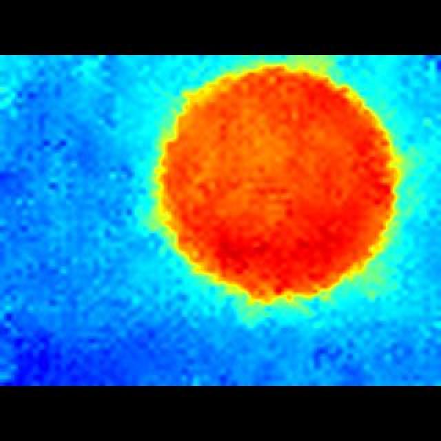 set add - Roboflow Universe