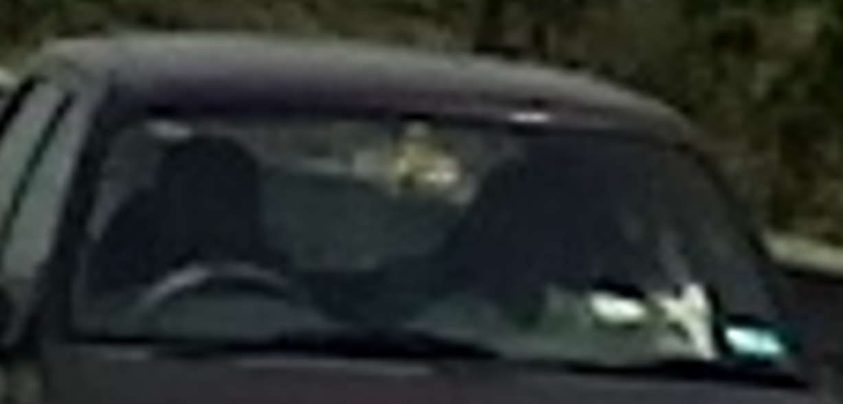 Car_master Object Detection Model by Car Window