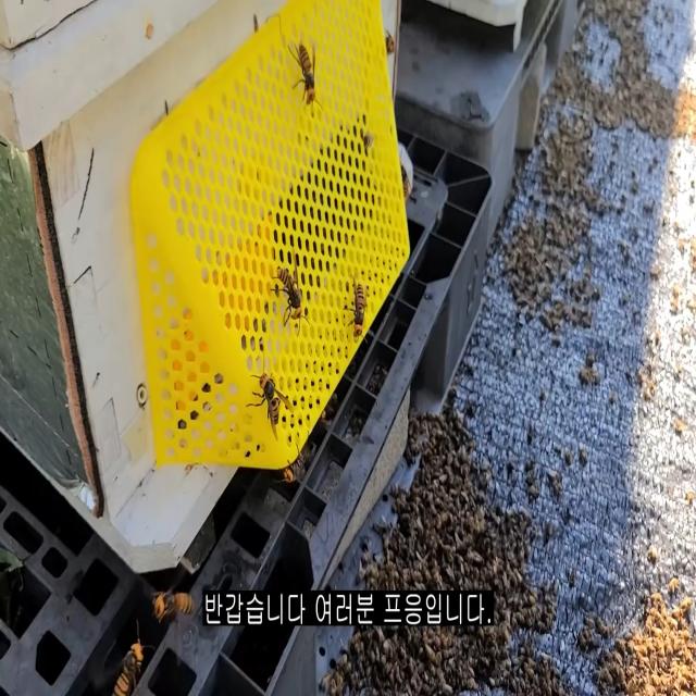 탐색공격2 Object Detection Dataset By Ewha