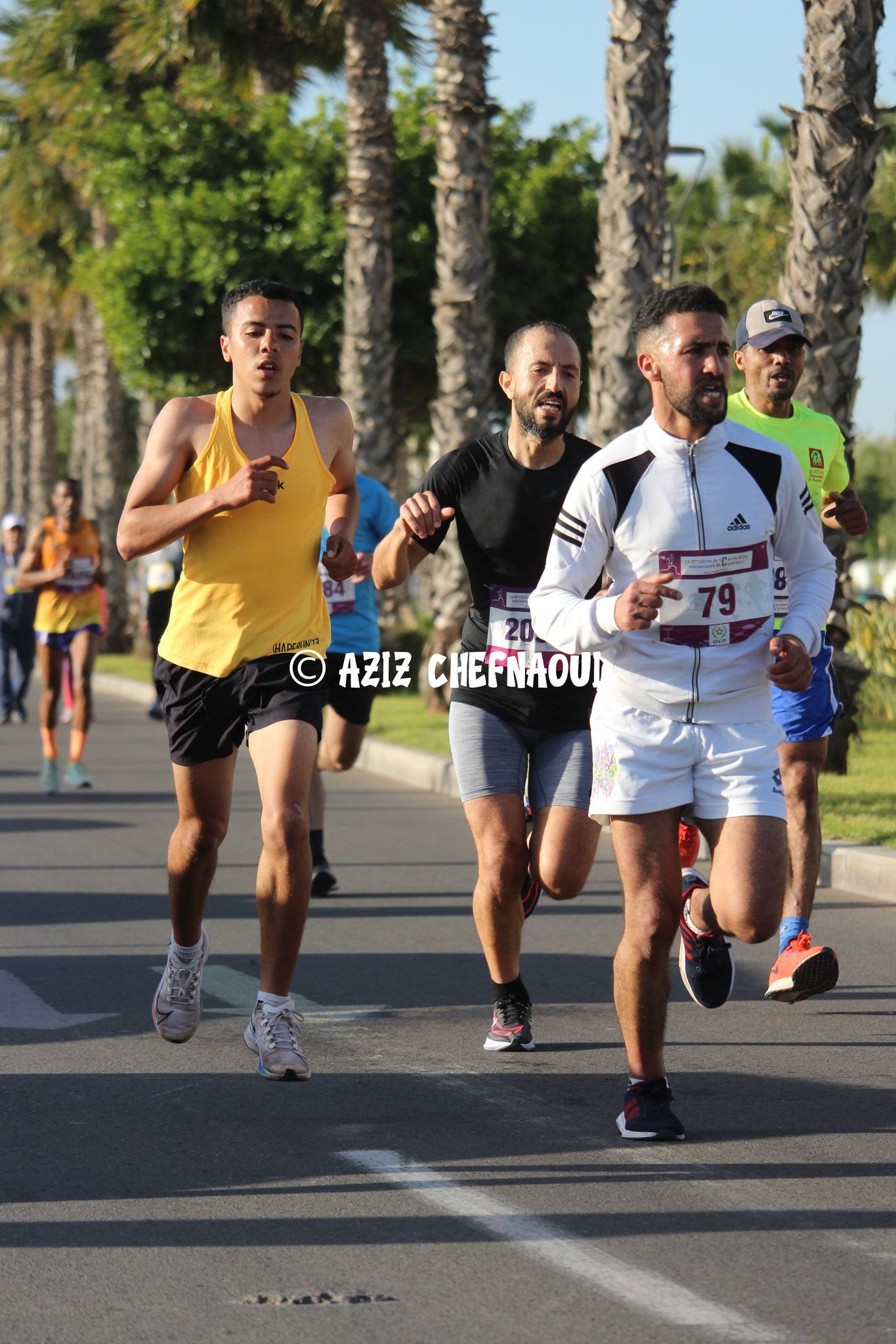 Dossard Hh Object Detection Dataset By Mee