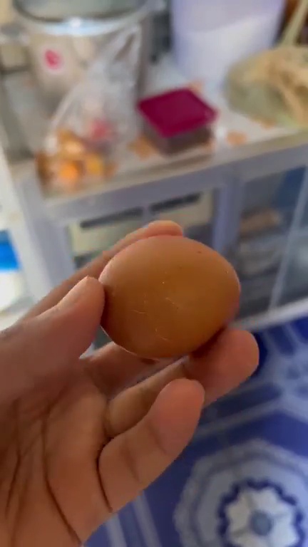 Egggs Object Detection Dataset and Pre-Trained Model by Eggs