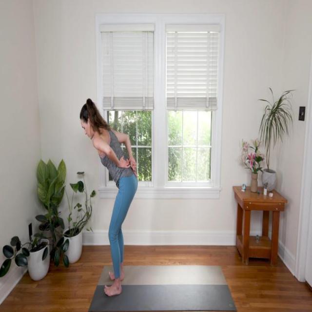 Insyolov8 Instance Segmentation Model by yolo