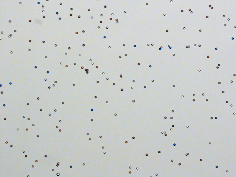 multiple detection Object Detection Dataset and Pre-Trained Model by fanwj