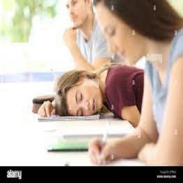 التحصيل الدراسي 2 Object Detection Dataset And Pre Trained Model By Mam Ali