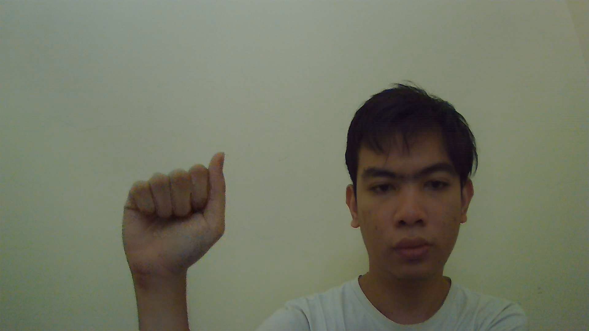 vision (vision-4vsml) - Roboflow Universe