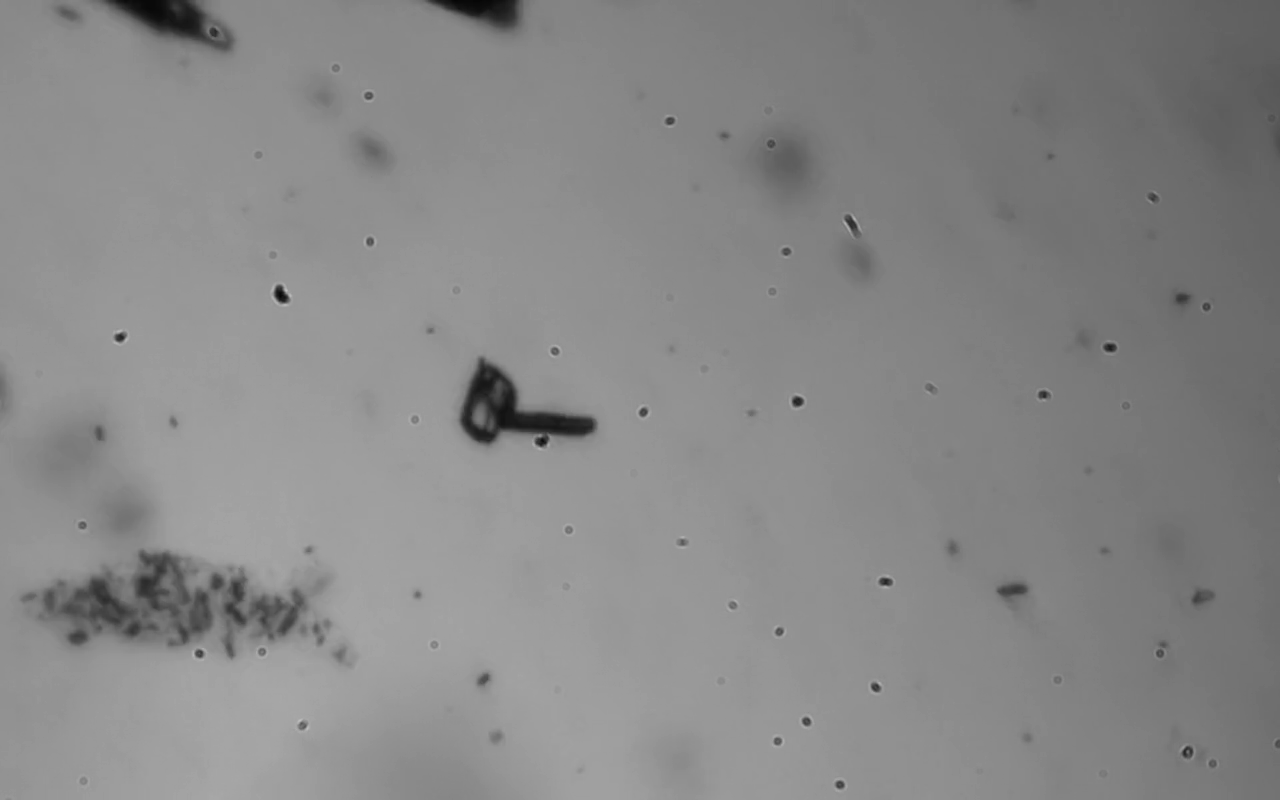 bla Instance Segmentation Dataset by Budapest University of Technology ...