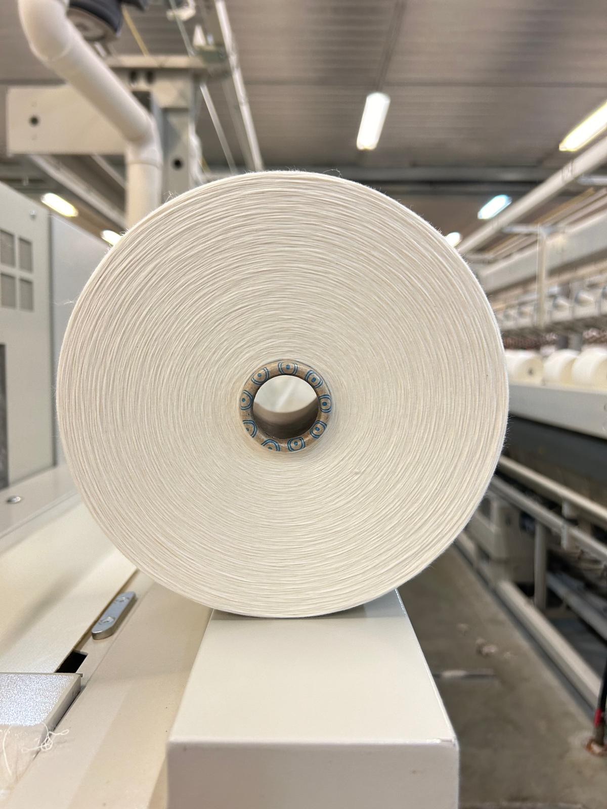 Patron Detection Object Detection Model by patron