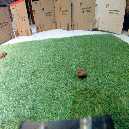 How to Use the Fake dog poop Object Detection API