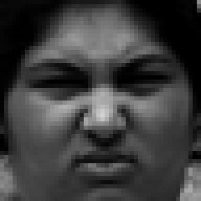 Untangle Emotion Detection Object Detection Dataset by Sankritya Rai