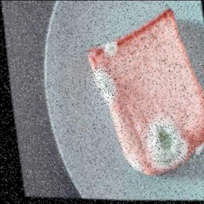 mold bread Object Detection Model by Project Roti Berjamur