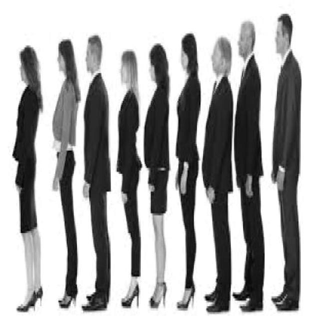 Queue Management Object Detection Model by Linemanagement