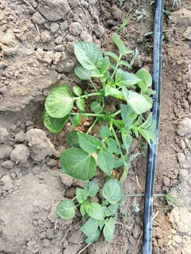 convert (convert-vq7nh) - Roboflow Universe