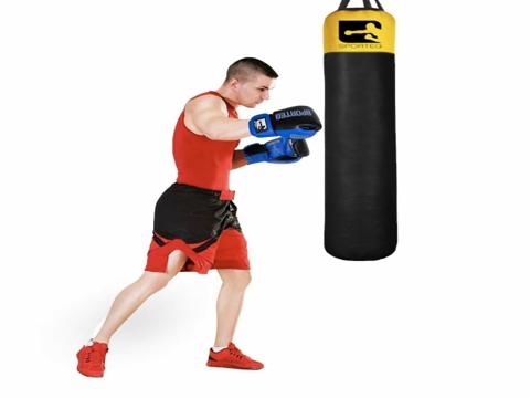 Boxing-Detected Object Detection Dataset and Pre-Trained Model by Computer Vision