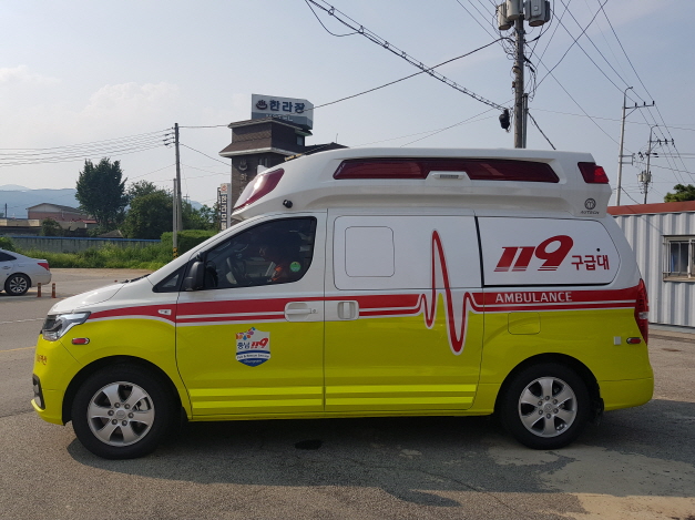 ambulance Object Detection Dataset and Pre-Trained Model by class