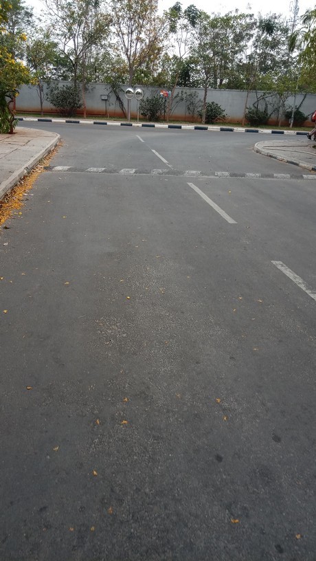 marked only speed bumps Object Detection Dataset by alia khalifa