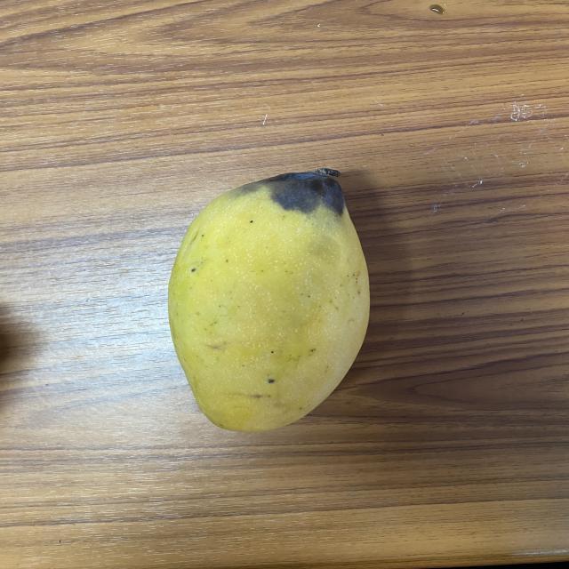 mango (mango-kbssd) - Roboflow Universe