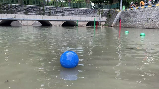 Blue Ball Object Detection Dataset by DITYAS WORKSPACE 3