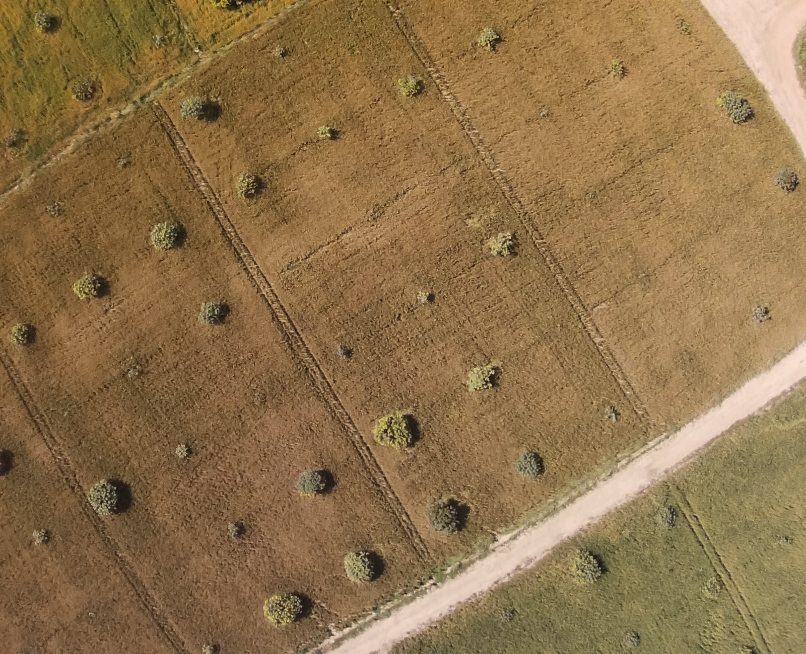 faster-rcnn Object Detection Dataset by CUI