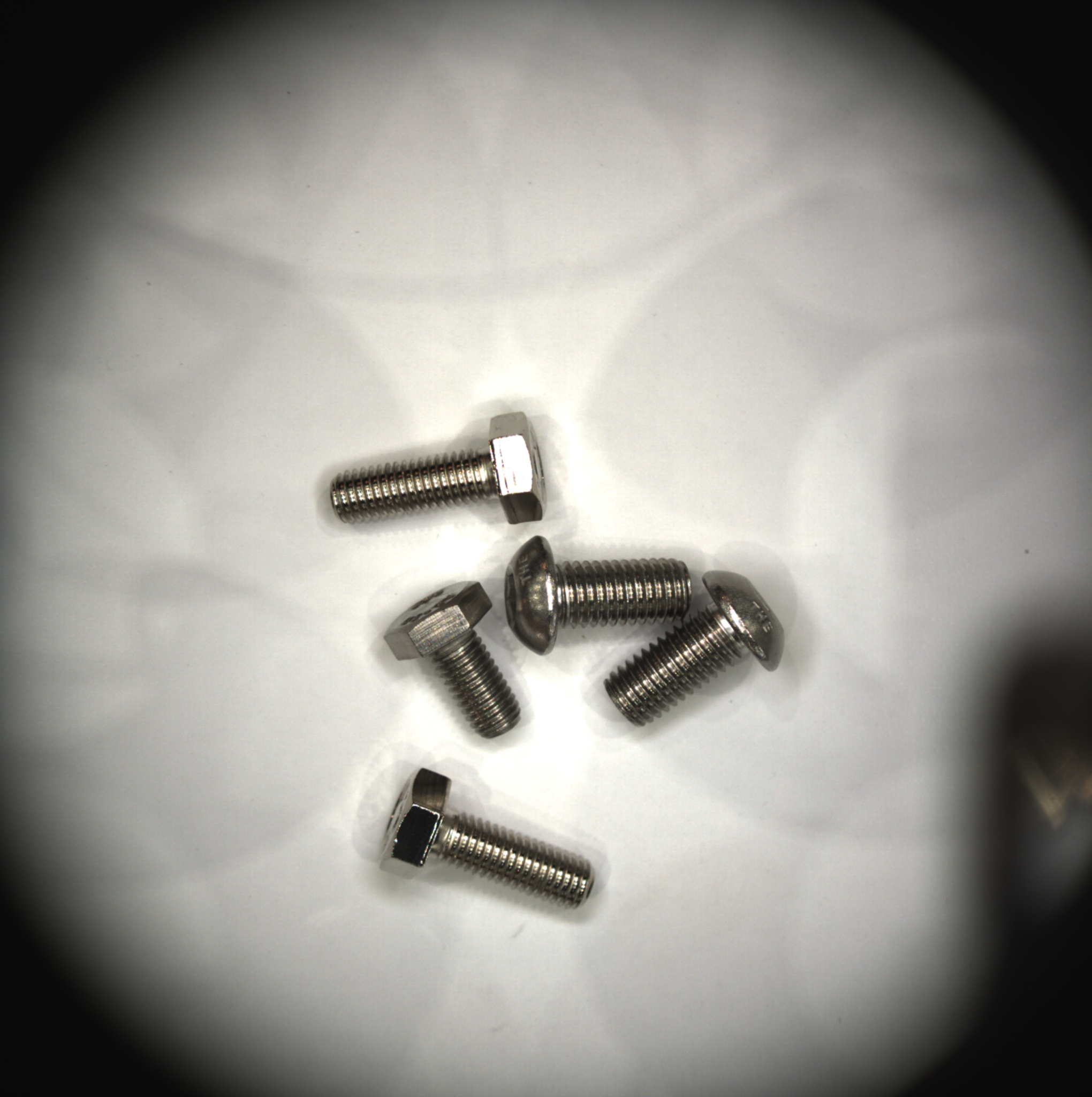 Screw Object Detection Dataset and Pre-Trained Model by testtest