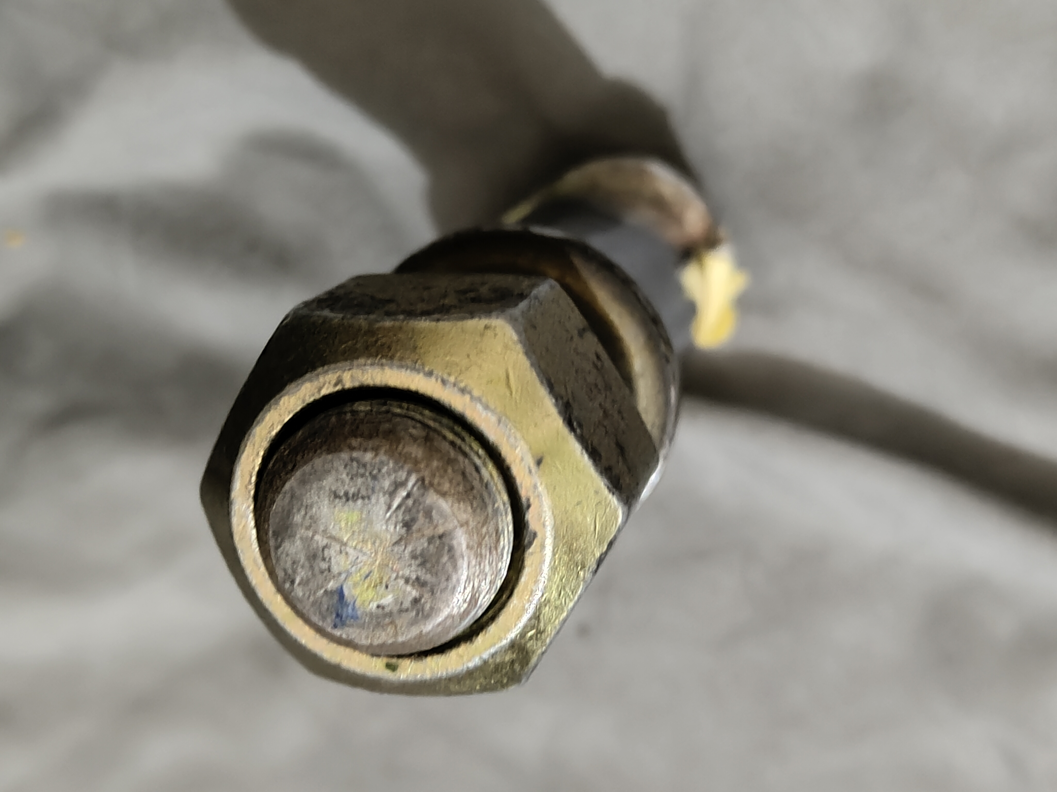 nut_custom Object Detection Dataset by mydataset