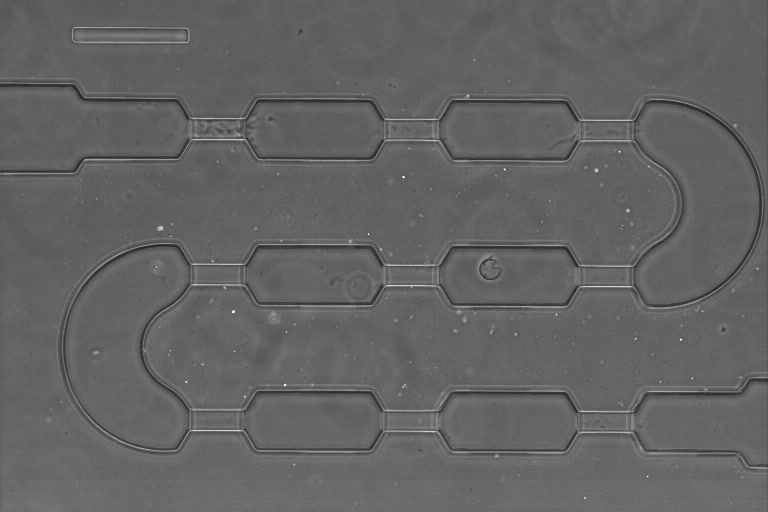 MSc Nano - Roboflow Universe