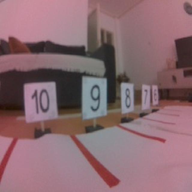 Black and Red Line Detection Instance Segmentation Dataset by aaaa