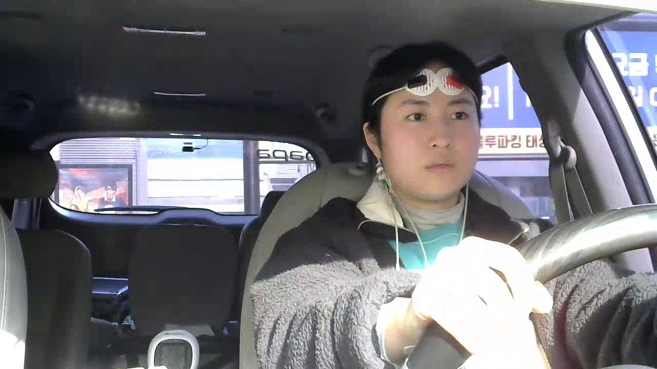 driver Object Detection Dataset by HUFS