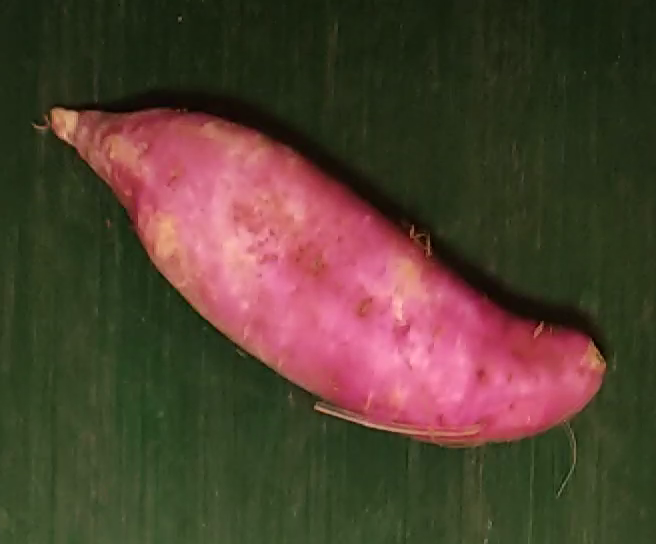 SP_segmentation Instance Segmentation Dataset by SP