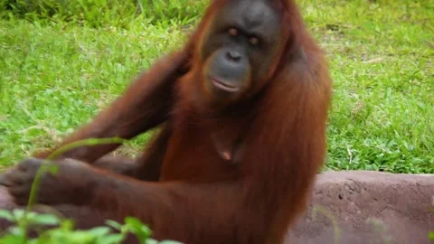 License Plate Ocr 3 Object Detection Object Detection Dataset by test