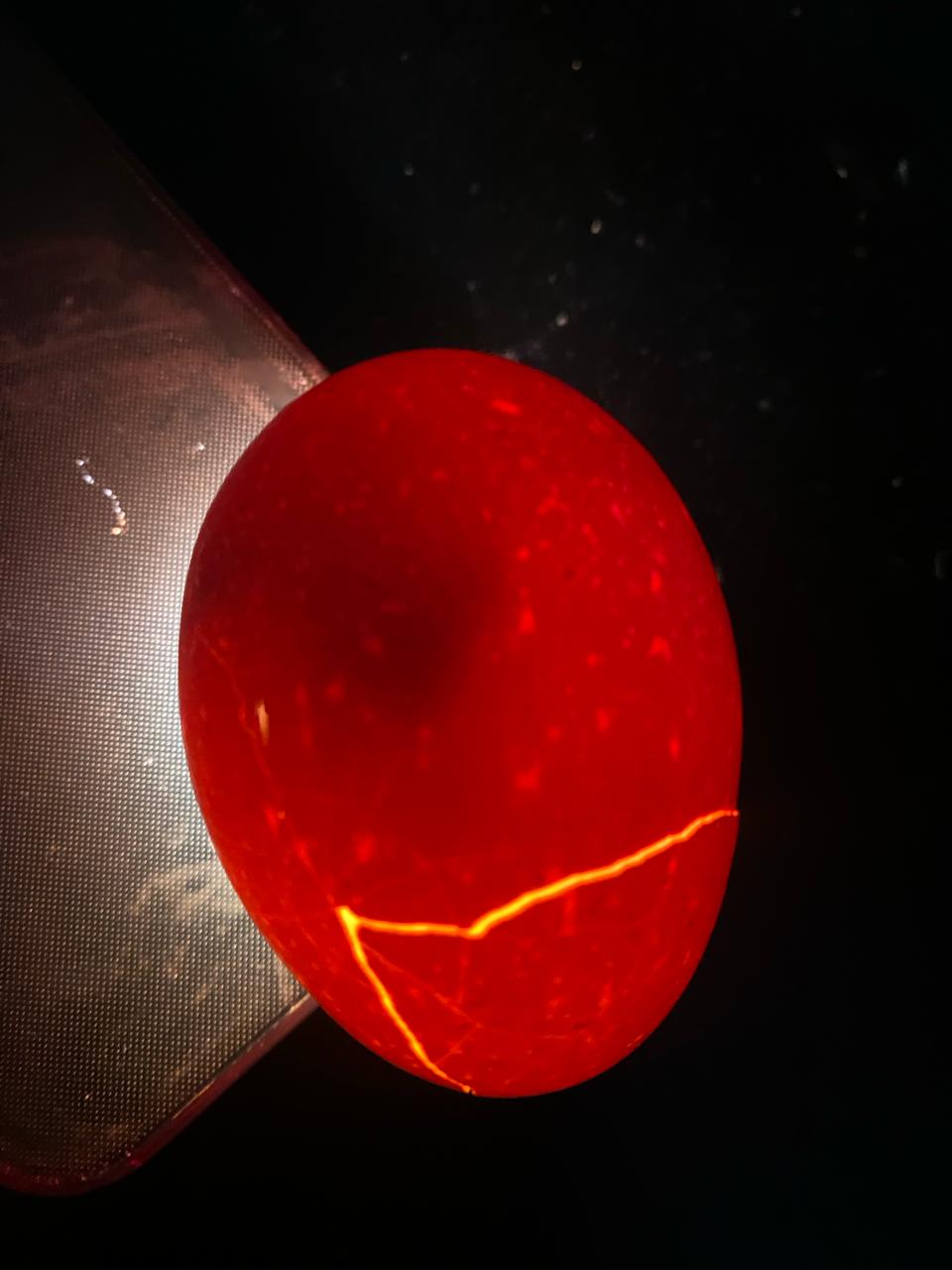 Eggfertilitydetector Object Detection Dataset And Pre Trained Model By Tshwane University Of