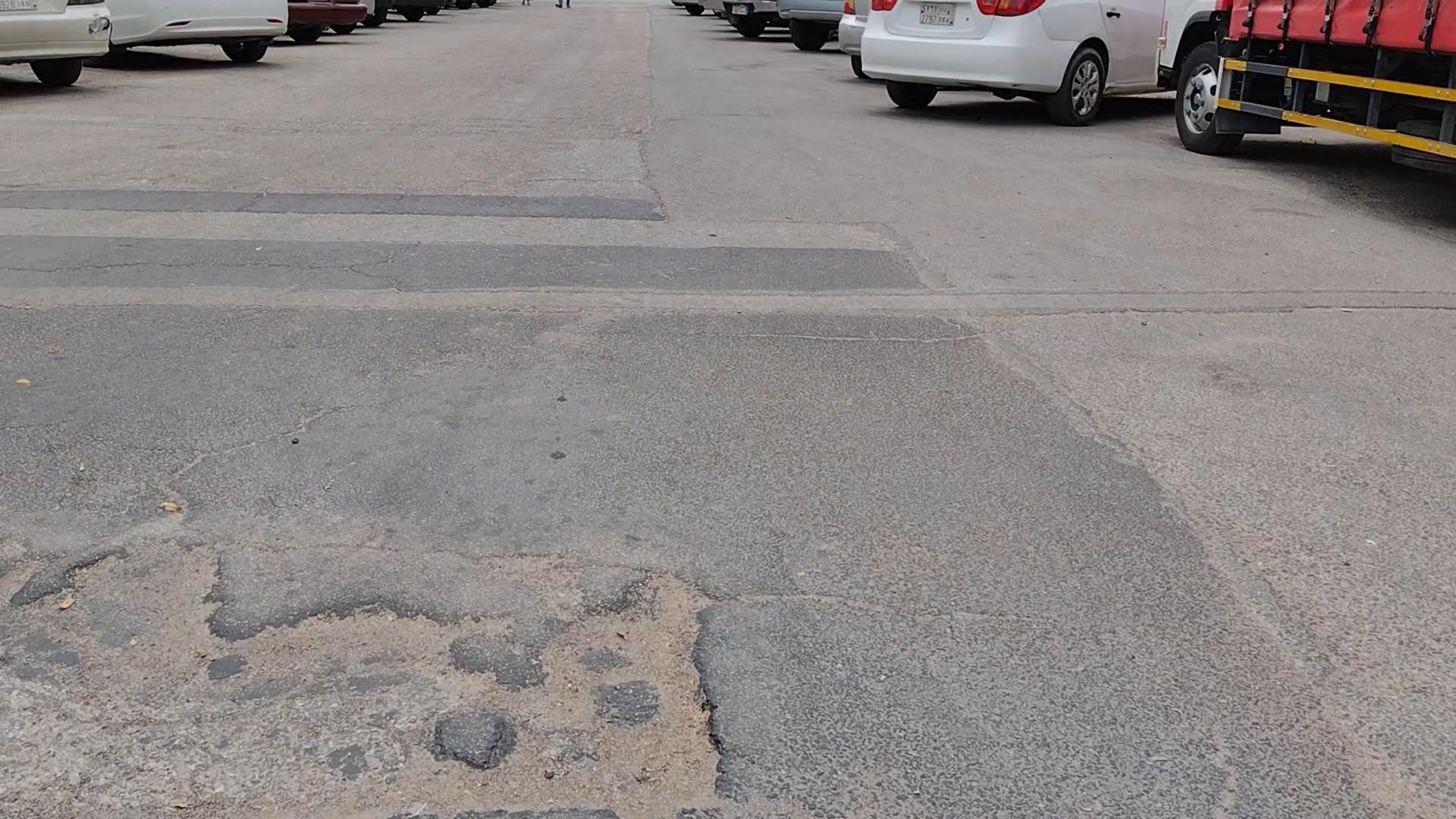 Pothole Segmentation Instance Segmentation Dataset and Pre-Trained Model by ss