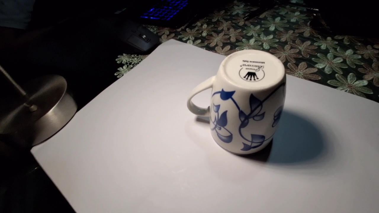 Test Chicken Object Detection Model By Test Chicken