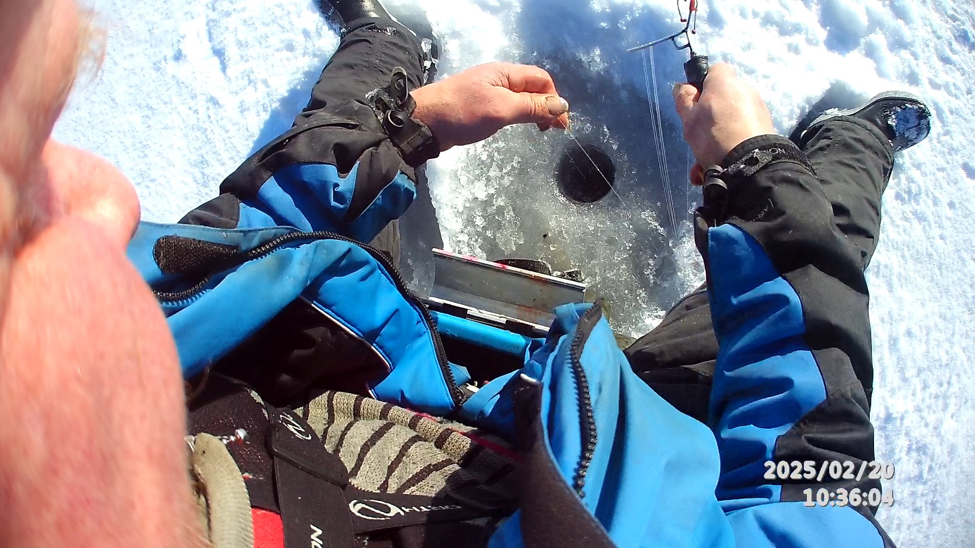 Grey Scale Object Detection Dataset by Fish background images