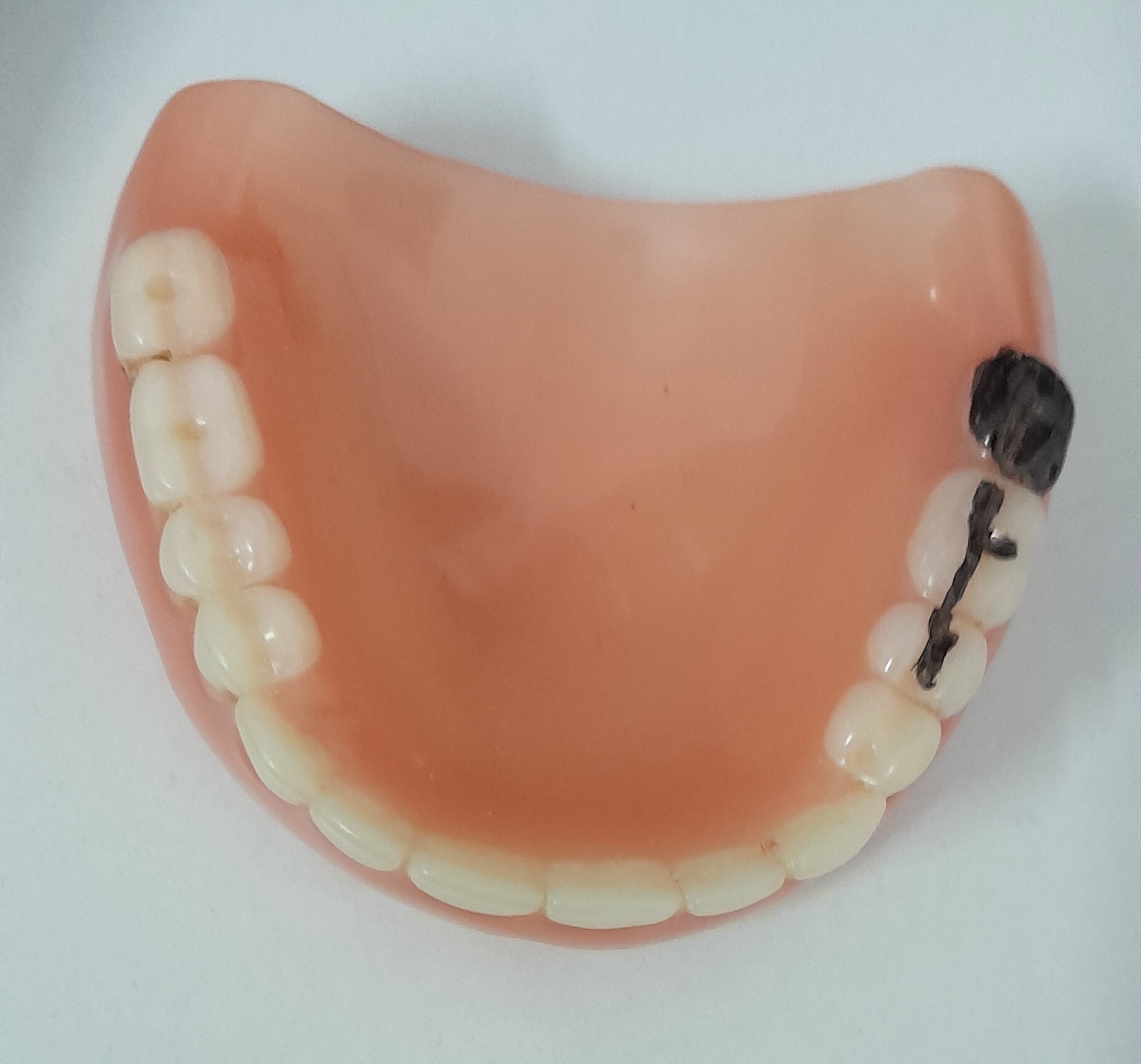 Ashish (ashish-h8q6q) - Roboflow Universe