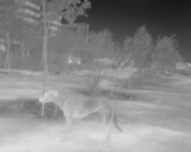 od Object Detection Dataset by one