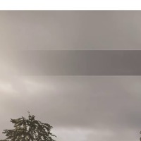 sdfgsdg - Roboflow Universe