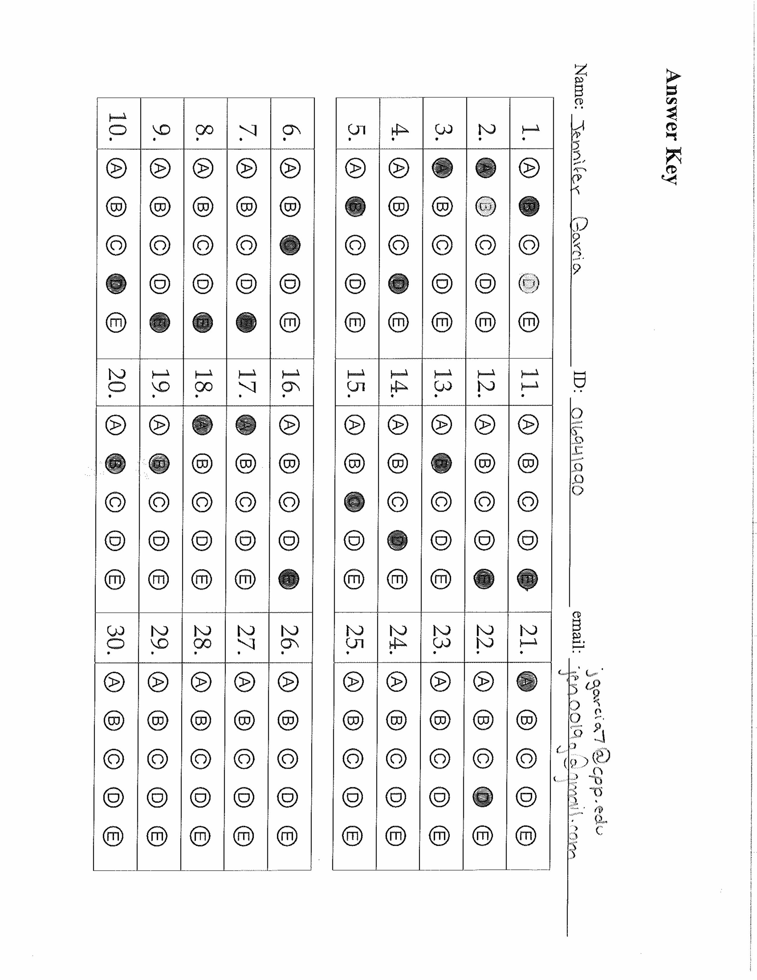 How to Use the OMR Sheet Bubble Detection Object Detection API