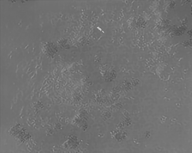 Birdsai Synthetic V2 Samples Object Detection Dataset By Flir Yolo